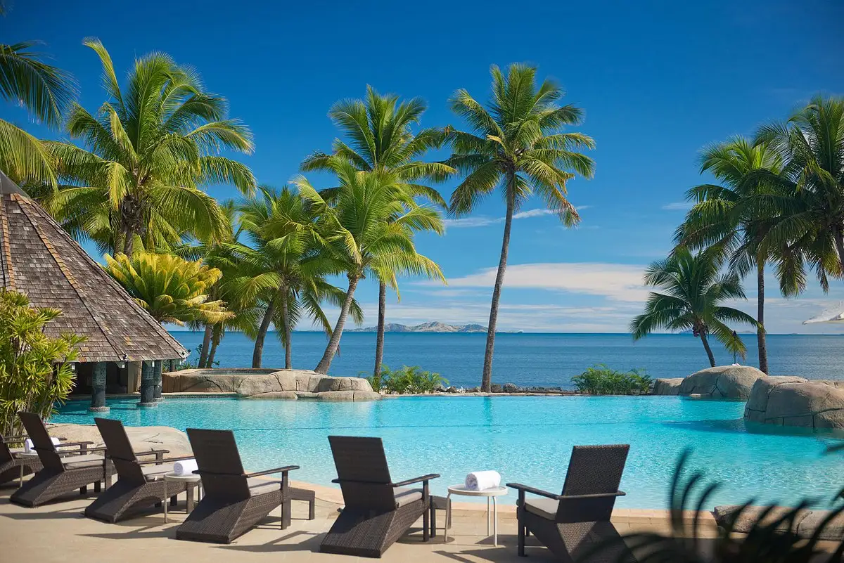 Dalo (Taro) in Fiji: Everything You Need to Know • Fiji Travel